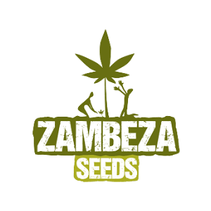 Zambeza Seeds | Chosen Seeds